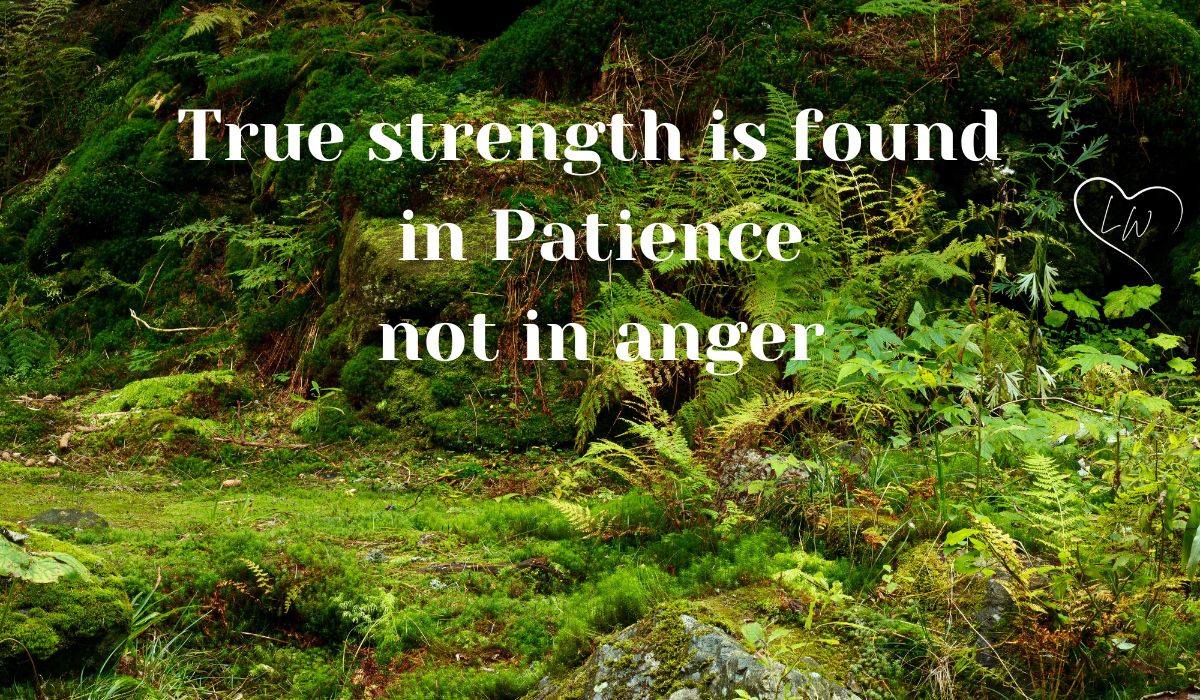 Islamic Quotes for Patience and Silence | Quran and Hadith