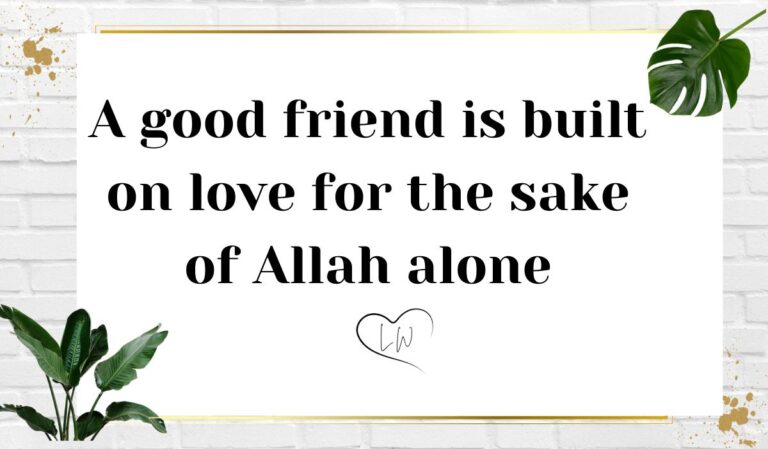 349+ Best Islamic Quotes on Friendship From Quran & Sunnah