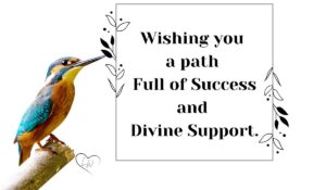 735+ Islamic Wishes For Success ( Best Wishes)
